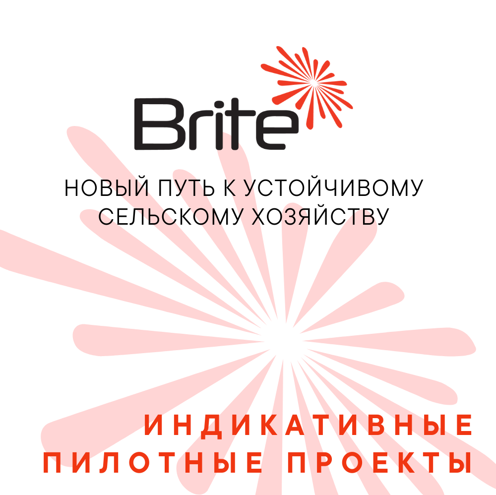 Наша новая брошюра: «Индикативные пилотные проекты»