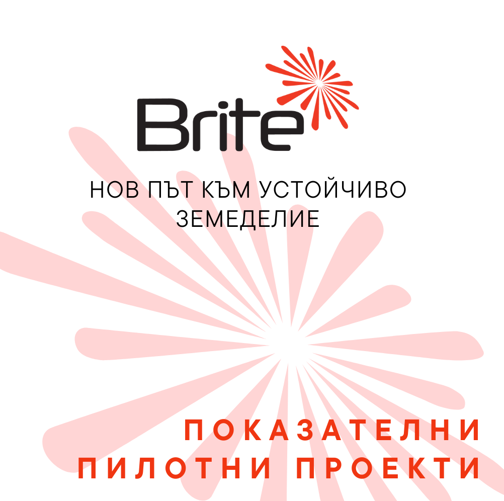 Нашата нова брошура: „Показателни пилотни проекти“