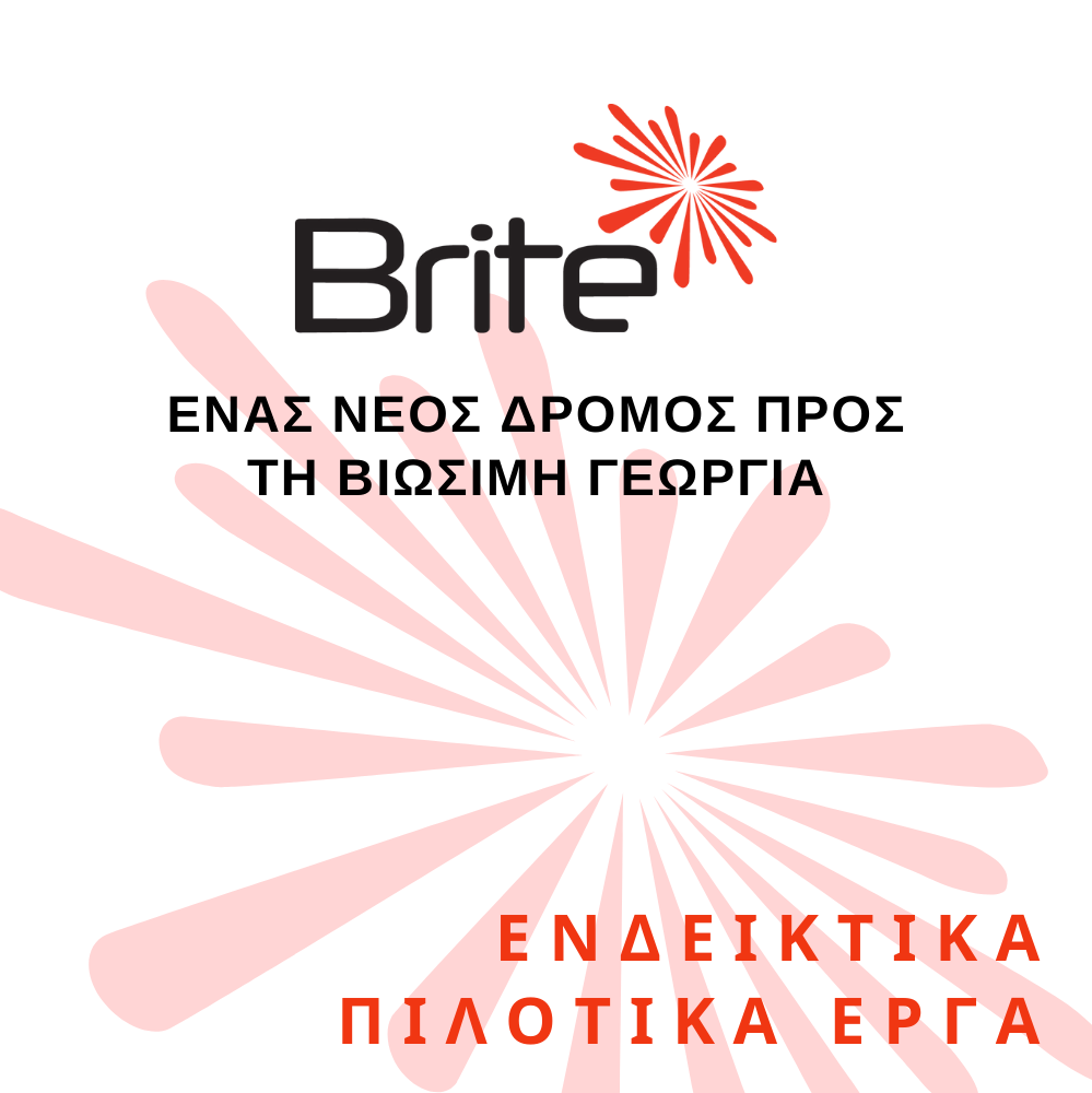 Η Νέα μας Μπροσούρα: 'Ενδεικτικά πιλοτικά έργα'