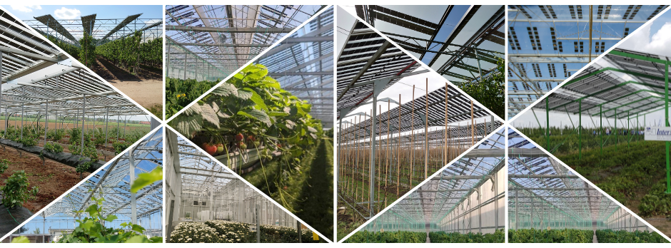 Αγροφωτοβολταϊκά: Πλεονεκτήματα και Εφαρμογές στην Καλλιέργεια