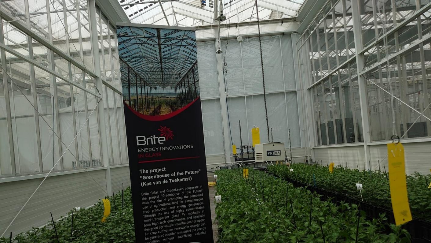 Greenhouse installation with Brite’s Solar Glass