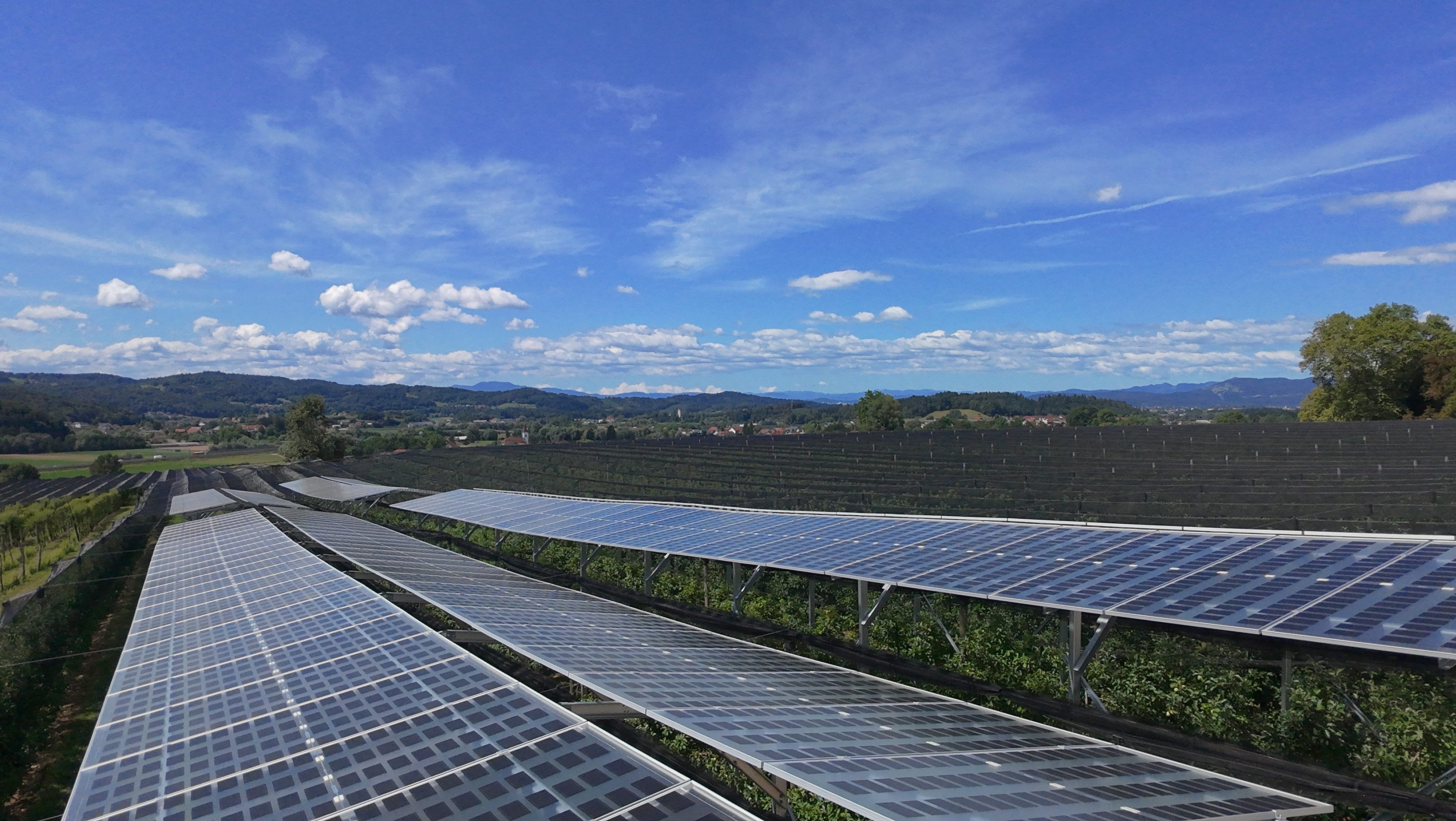 Agri-PV Pilot in Slovenia – Brite Solar Panels in Apple Orchards