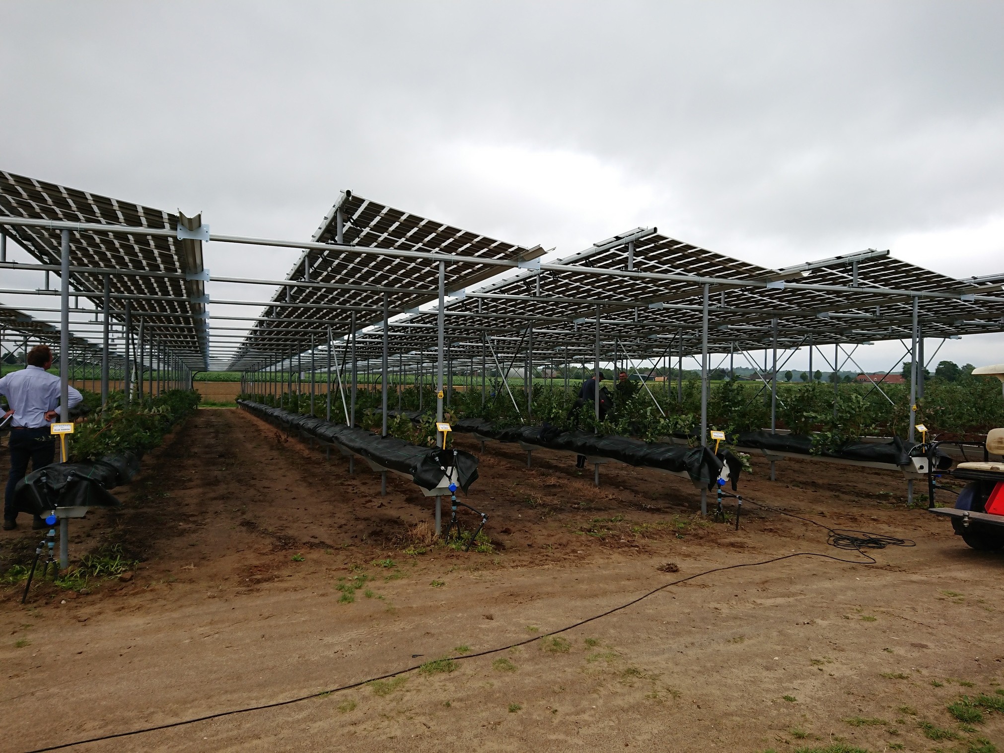Agri-PV pilot installation with Brite’s Solar Glass
